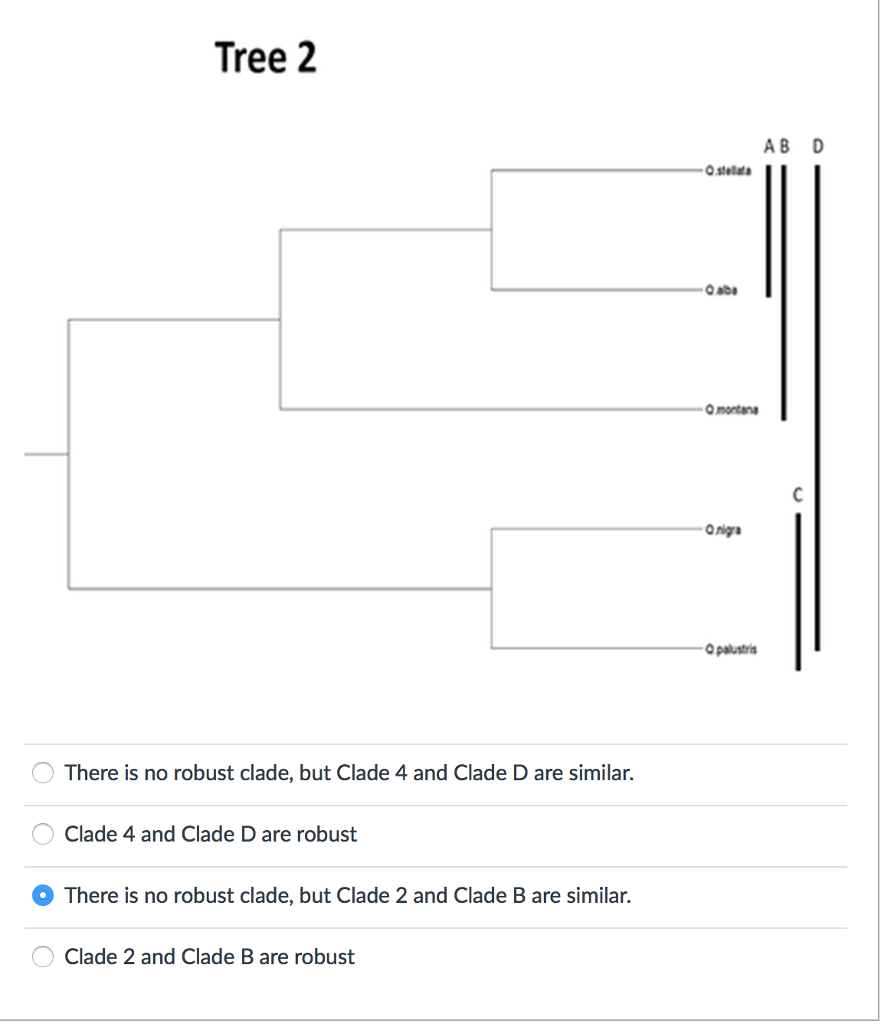 Solved What is a robust clade?? Can you please explain how | Chegg.com