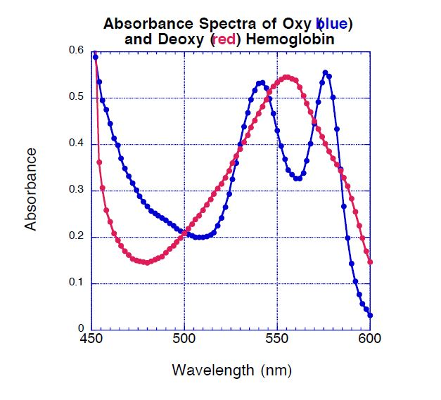 Chemistry Archive | October 22 2013 | Chegg.com