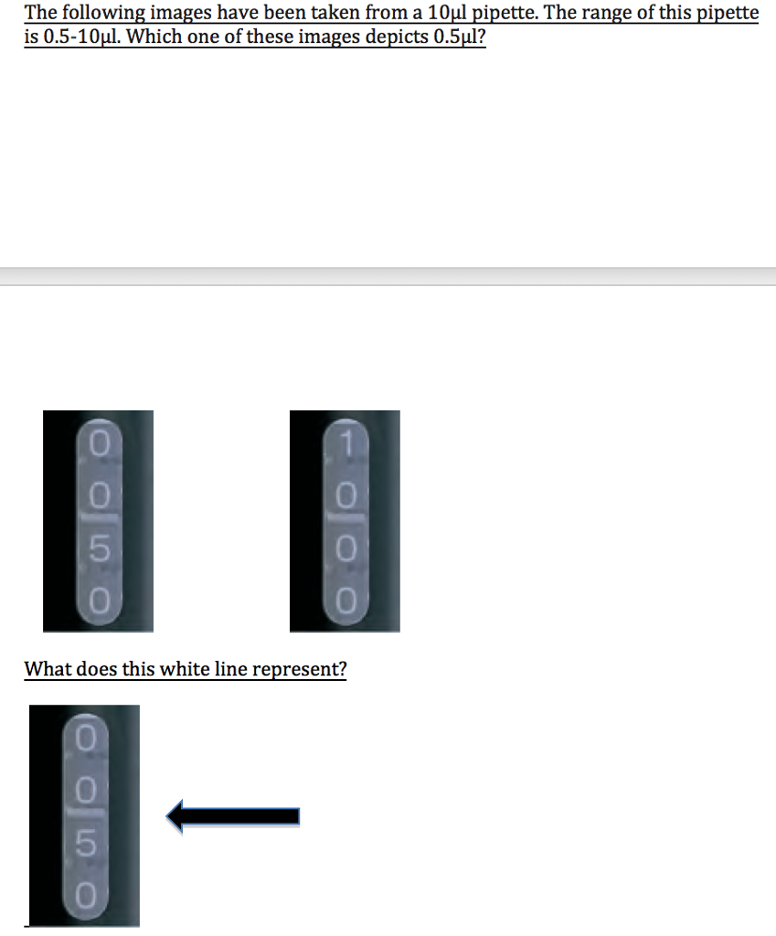 Solved The following images have been taken from a 10 mu l | Chegg.com