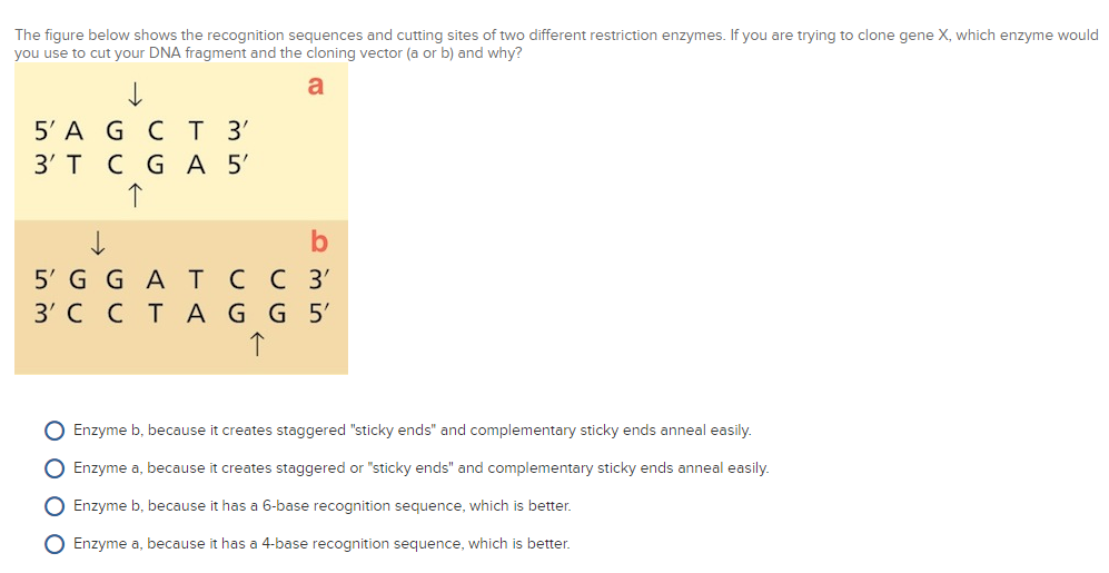 Solved The figure below shows the recognition sequences and | Chegg.com