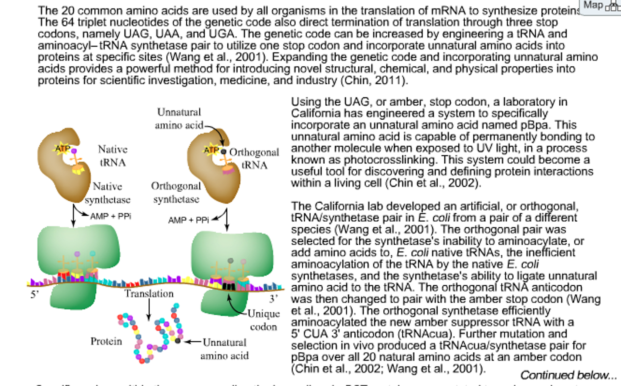 Achondroplasia Genetics