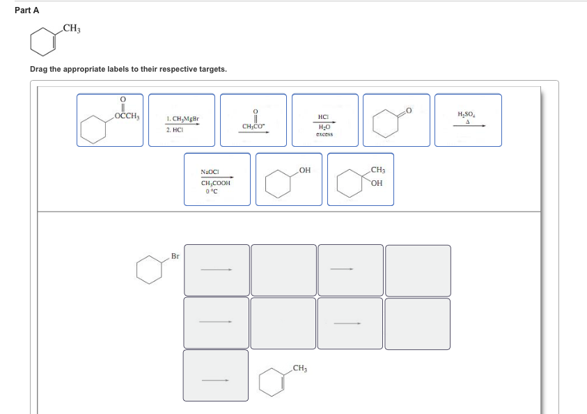 Solved CH3 CH3 Drag the appropriate labels to their | Chegg.com