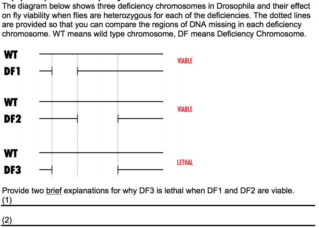 Solved The diagram below shows three deficiency chromosomes | Chegg.com