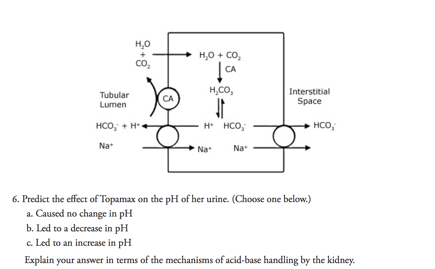 Solved 5. The carbonic anhydrase in proximal tubule | Chegg.com