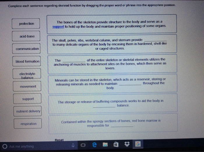 Solved Complete each sentence regarding skeletal function by | Chegg.com