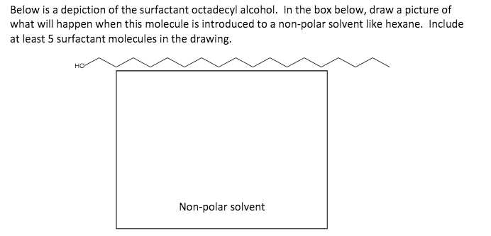 Solved Below is a depiction of the surface octadecyl | Chegg.com