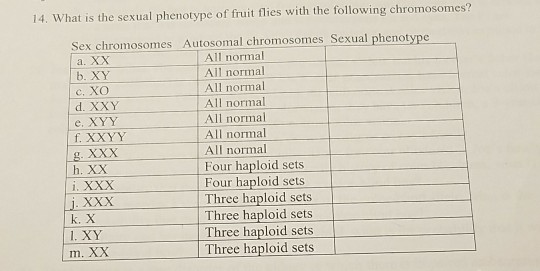 Solved 14 What Is The Sexual Phenotype Of Fruit Flies With 0295