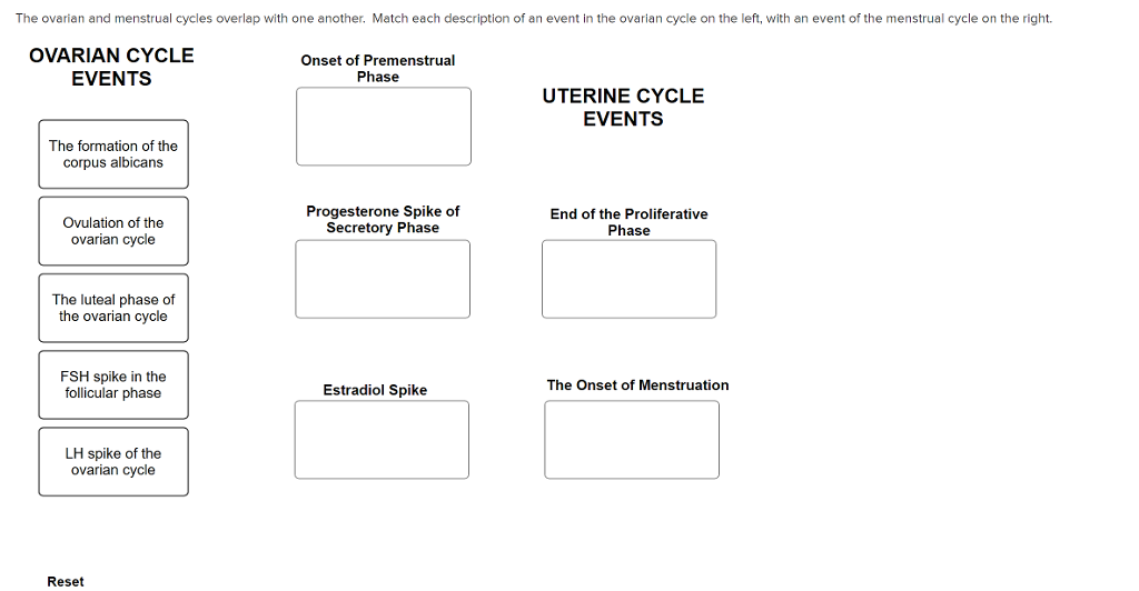 Solved The ovarian and menstrual cycles overlap with one | Chegg.com