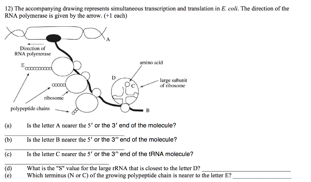 Solved 12) The accompanying drawing represents simultaneous | Chegg.com