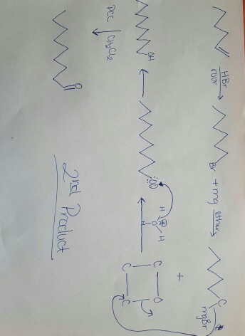 Solved Explain in great detail (paragraph form) every step | Chegg.com