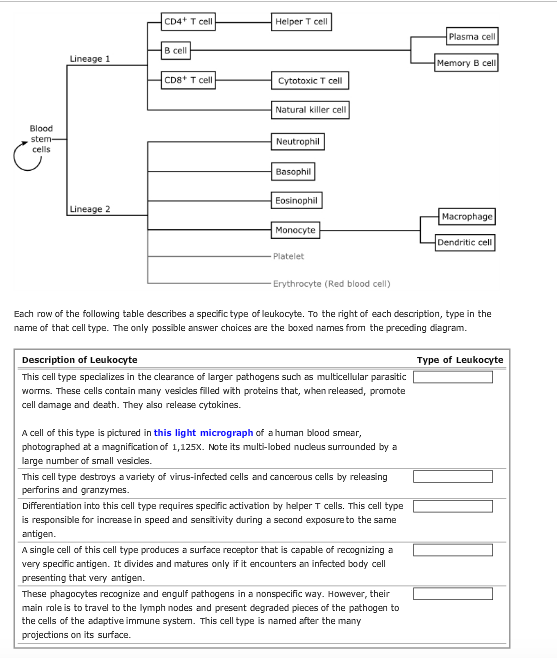 Solved Each row of the following table describes a specific | Chegg.com