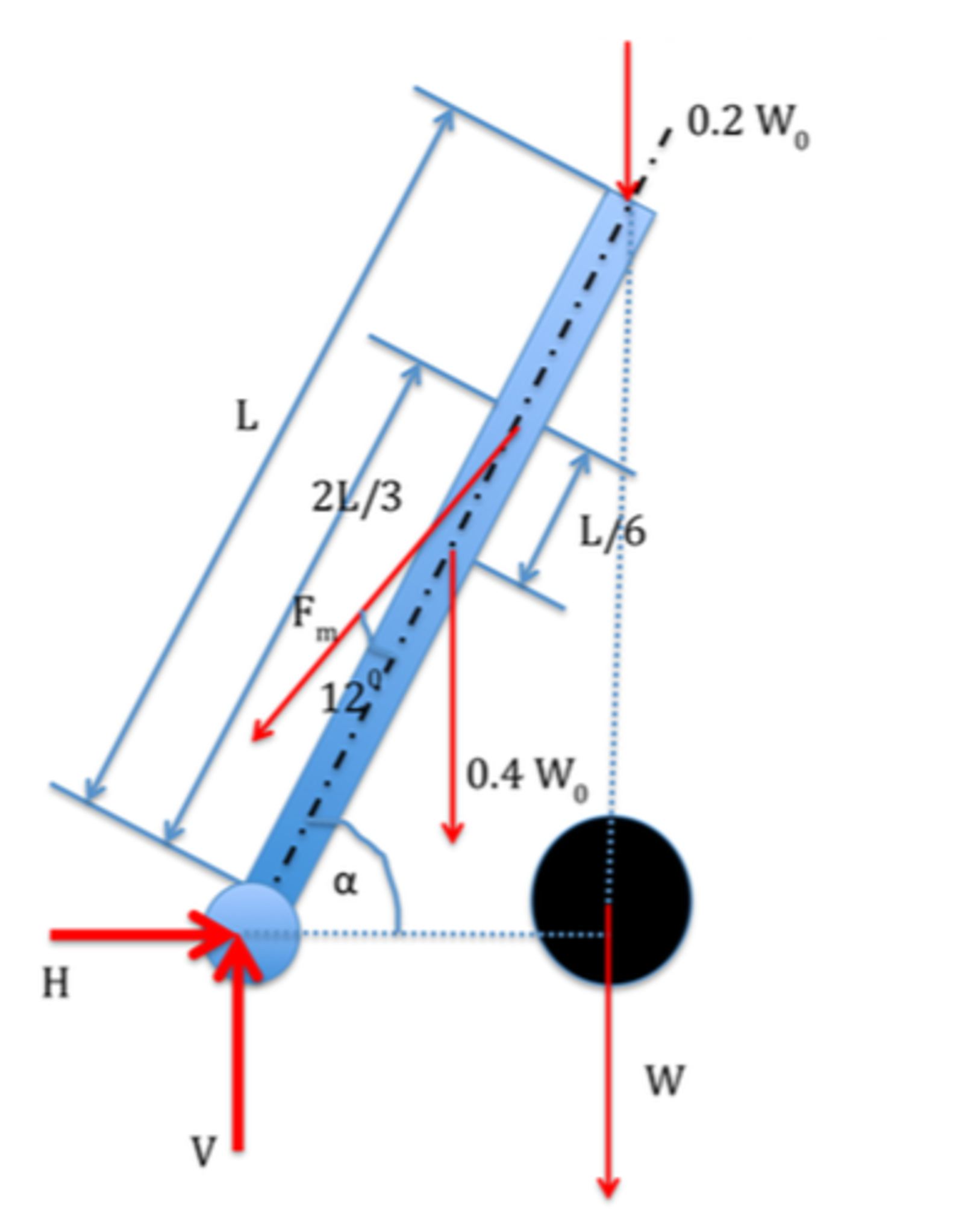 Solved The figure below shows forces acting on the spine as | Chegg.com