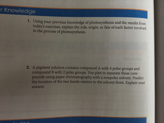 Solved Using your previous knowledge of photosynthesis and | Chegg.com Solved Using your previous knowledge of photosynthesis and | Chegg.com