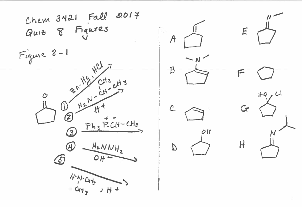 Solved Partial Question 1 1.2/ 2 pts See Figure 8-1. Match | Chegg.com