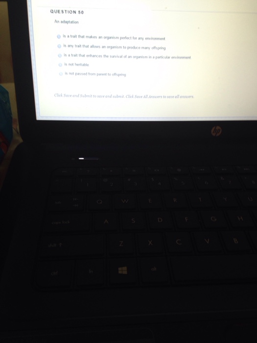 Solved An adaptation is a trait that makes an organism | Chegg.com