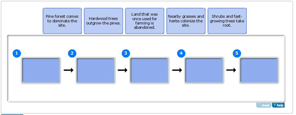 Succession Model