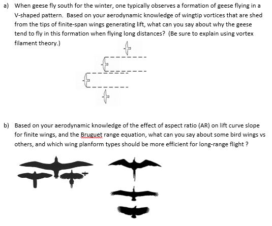 Solved a) When geese fly south for the winter, one typically | Chegg.com