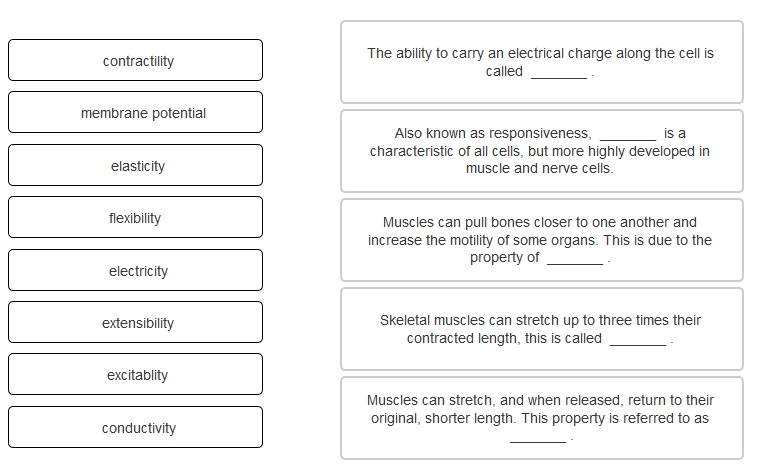 Solved Click and drag the terms on the left to accurately | Chegg.com