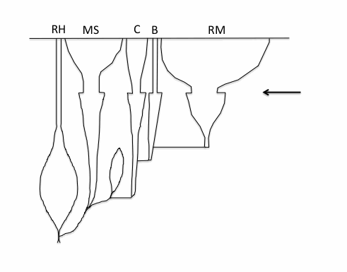 Solved Look at the tree below. The figure represents | Chegg.com