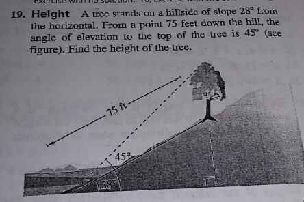 Solved 19. Height A tree stands on a hillside of slope 28 | Chegg.com