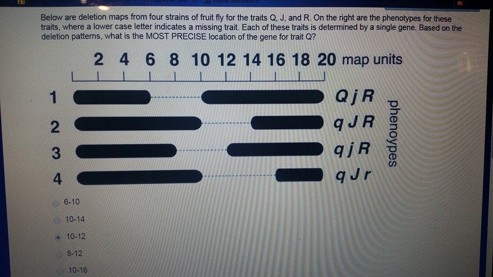 Solved Below are deletion maps from four strains of fruit | Chegg.com