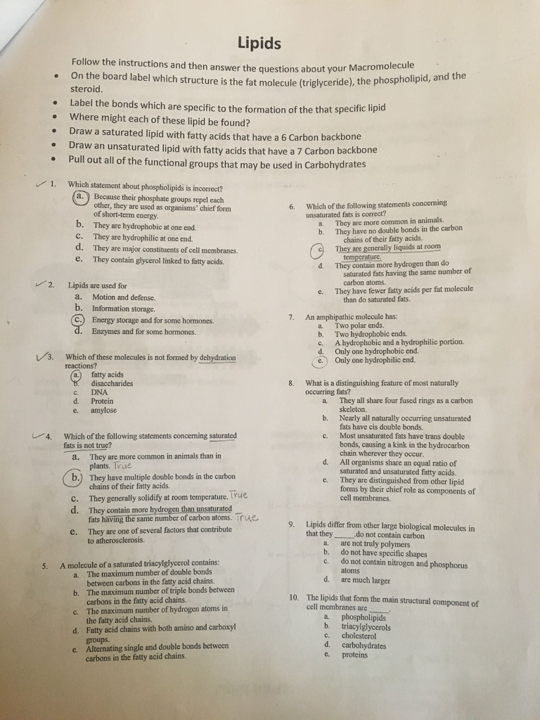 Solved Lipids Follow the instructions and then answer the | Chegg.com