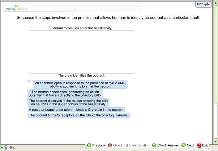 Solved Map pling Sequence the steps involved in the process | Chegg.com