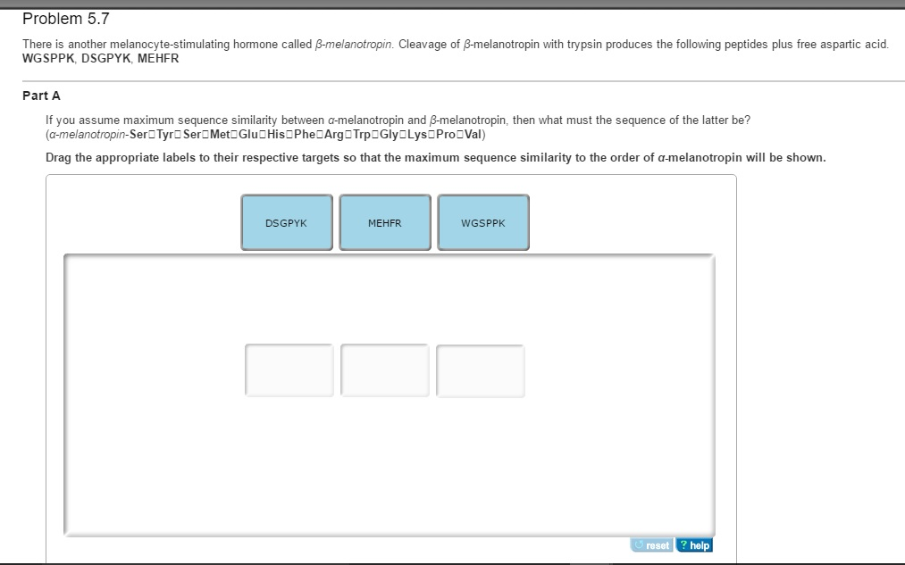 Solved There is another melanocyte-stimulating hormone | Chegg.com