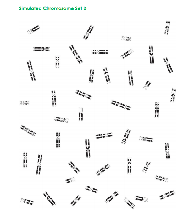 What Is A Karyotype Chart - Chromosome Map Genes And Disease Ncbi Bookshelf
