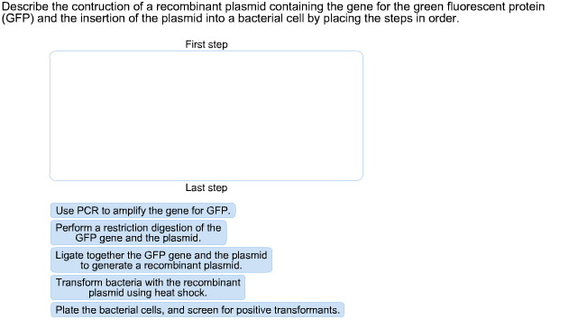 Solved Describe the construction of a recombinant plasmid | Chegg.com