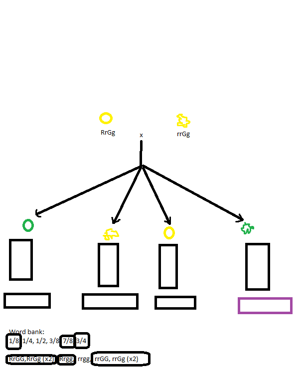 Solved: Part C - Predicting Genotypes And Phenotypic Frequ... | Chegg.com Solved: Part C - Predicting Genotypes And Phenotypic Frequ... | Chegg.com