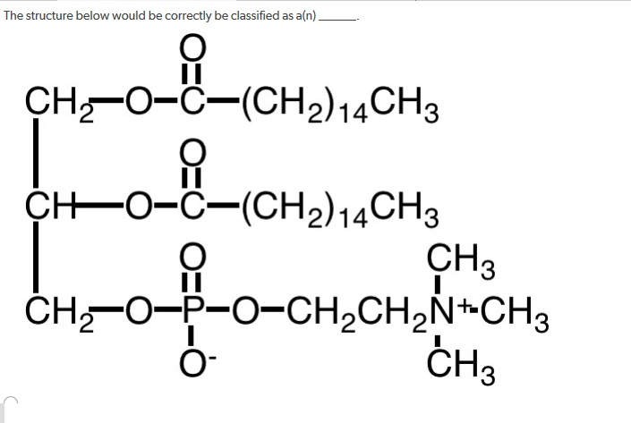 Solved The structure below would tlybe classified as a a(n) | Chegg.com