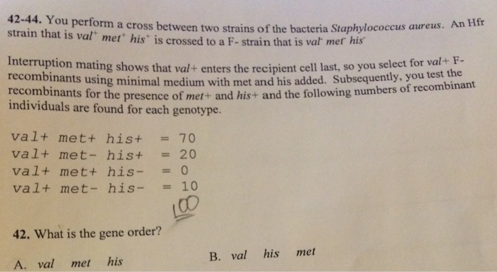 Solved You perform a cross between two strains of the | Chegg.com