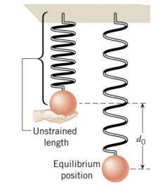 Solved An object of mass m is attached to a vertical spring | Chegg.com
