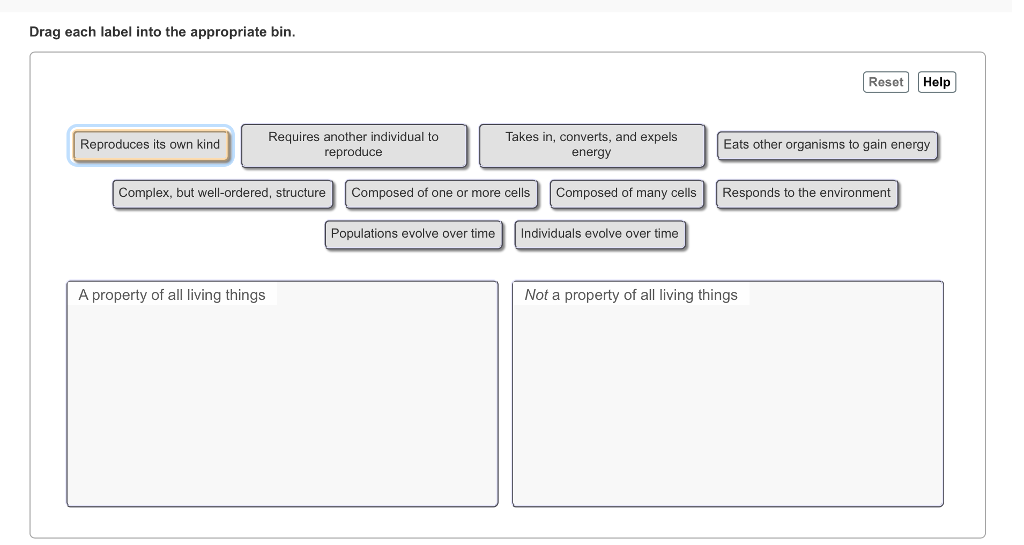 Solved Drag each label into the appropriate bin Reset Help | Chegg.com