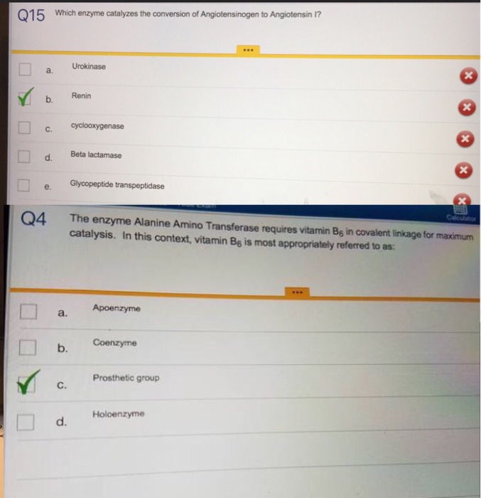 Solved Which enzyme catalyzes the conversion of | Chegg.com
