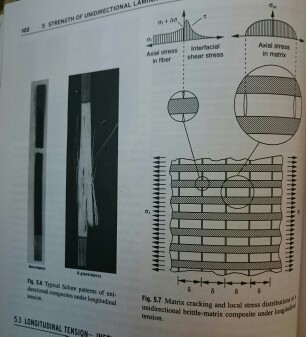 Solved (Typed Version) 5.2 Determine the longitudinal | Chegg.com