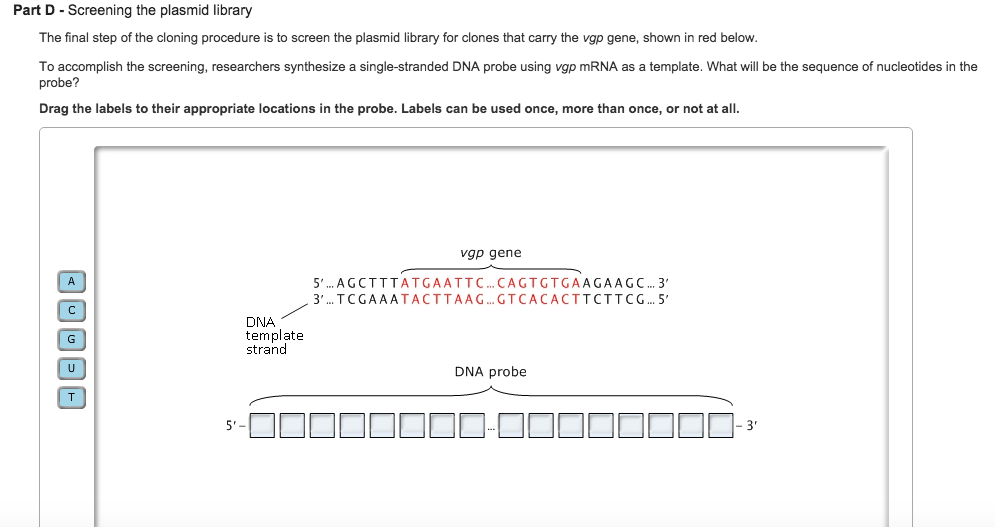Part D - Screening the plasmid library The final step | Chegg.com