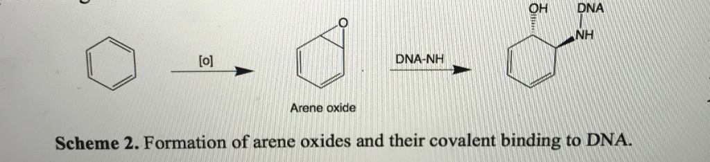Solved 1. Is ring opening of the epoxide in arene oxides | Chegg.com