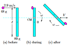 Solved A small piece of putty of mass 48 g and negligible | Chegg.com