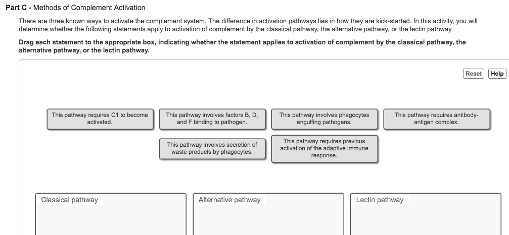 Solved Part C Methods of Complement Activation There are | Chegg.com