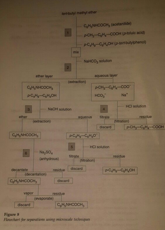 Solved tert-butyl methyl ether CsH,NHCOCH3 (acetanilide) | Chegg.com