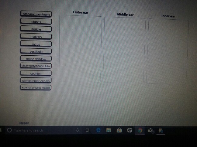Solved classify the following structures as part of the | Chegg.com