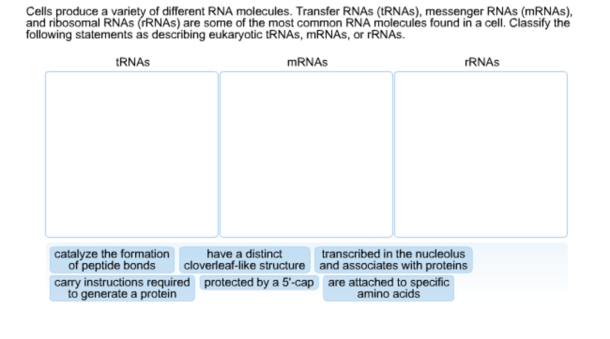 Solved Cells produce a variety of different RNA molecules. | Chegg.com