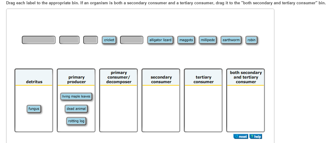 Solved Drag each label to the appropriate bin. If an | Chegg.com
