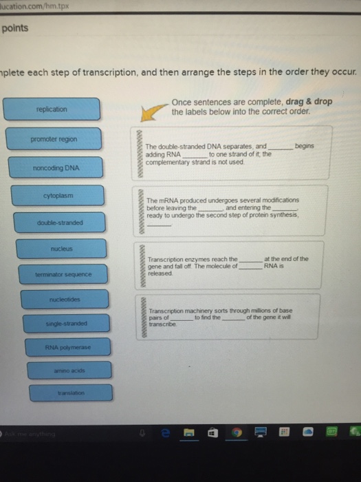 Solved Each step of transcription, and then arrange the | Chegg.com