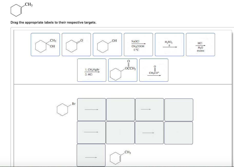 Solved CH3 Drag the appropriate labels to their respective | Chegg.com