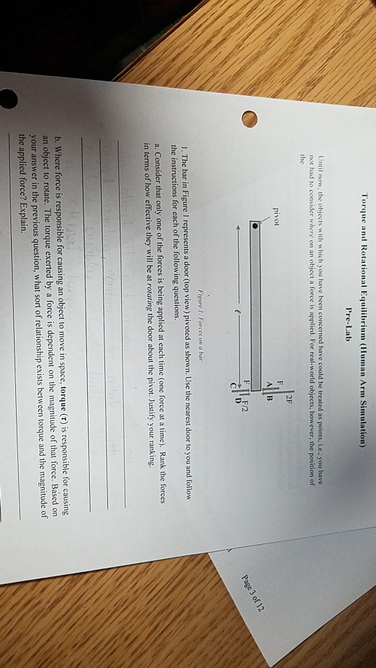 Solved Torque and Rotational Equilibrium (Human Arm | Chegg.com