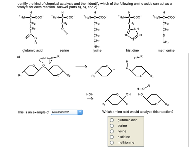 Solved Identify the kind of chemical catalysis and then | Chegg.com