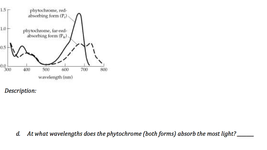 Solved For the graphs that follow, write a brief description | Chegg.com